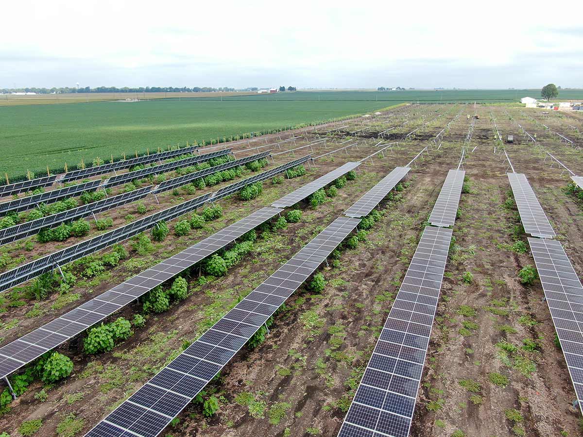 Solitude · Terrasmart