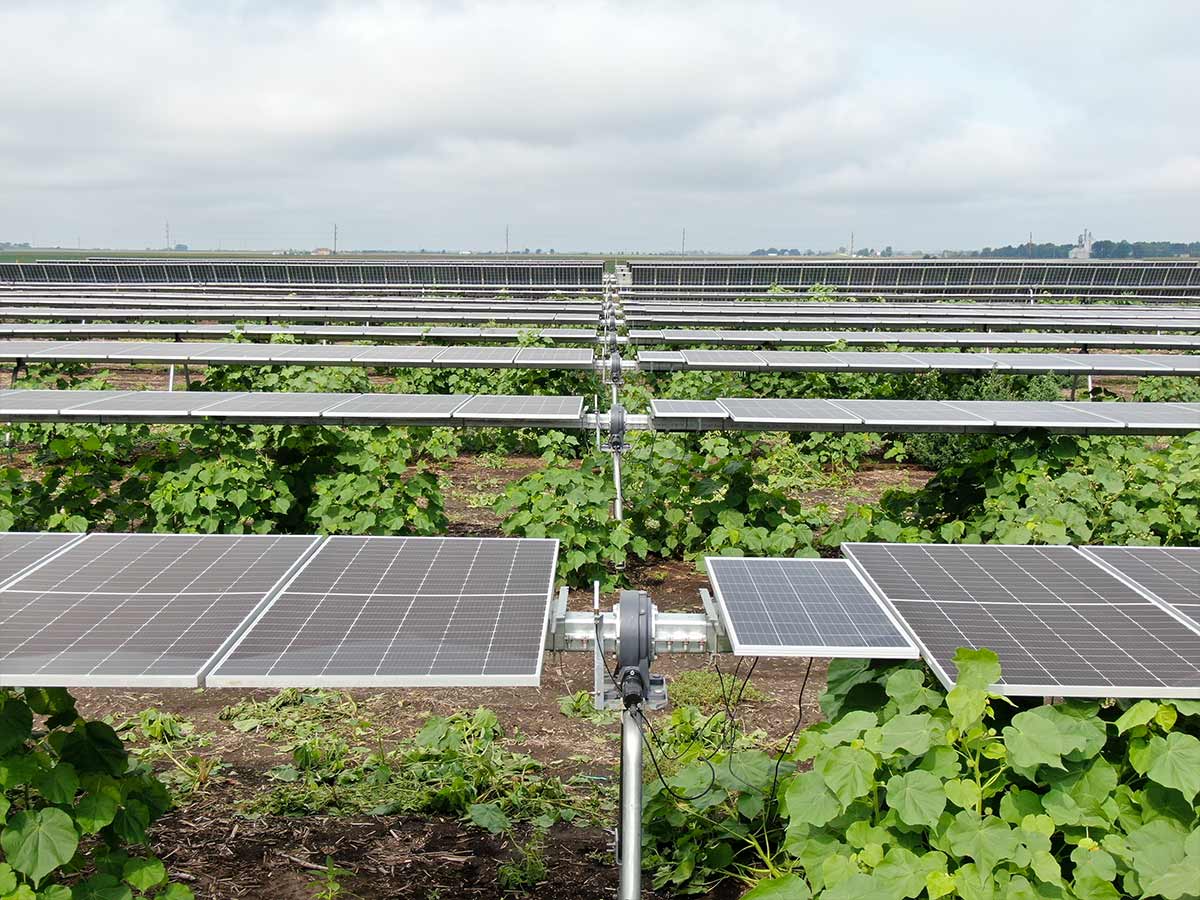 Solitude · Terrasmart